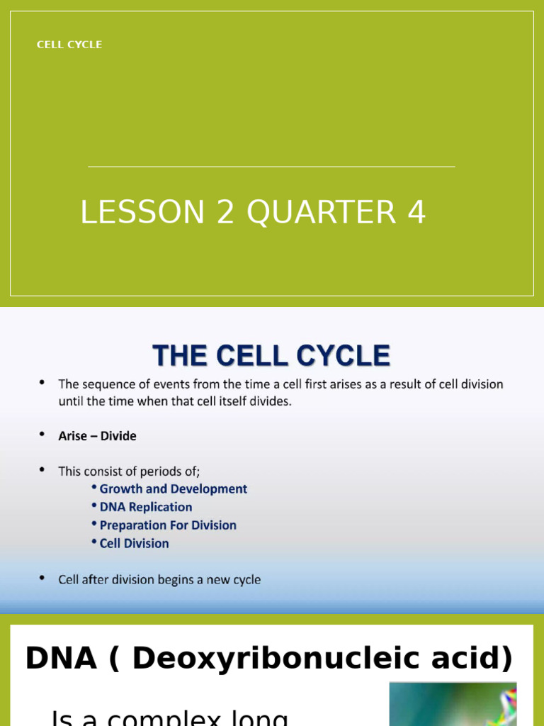 2 Lesson Cell Cycle | PDF | Mitosis | Meiosis