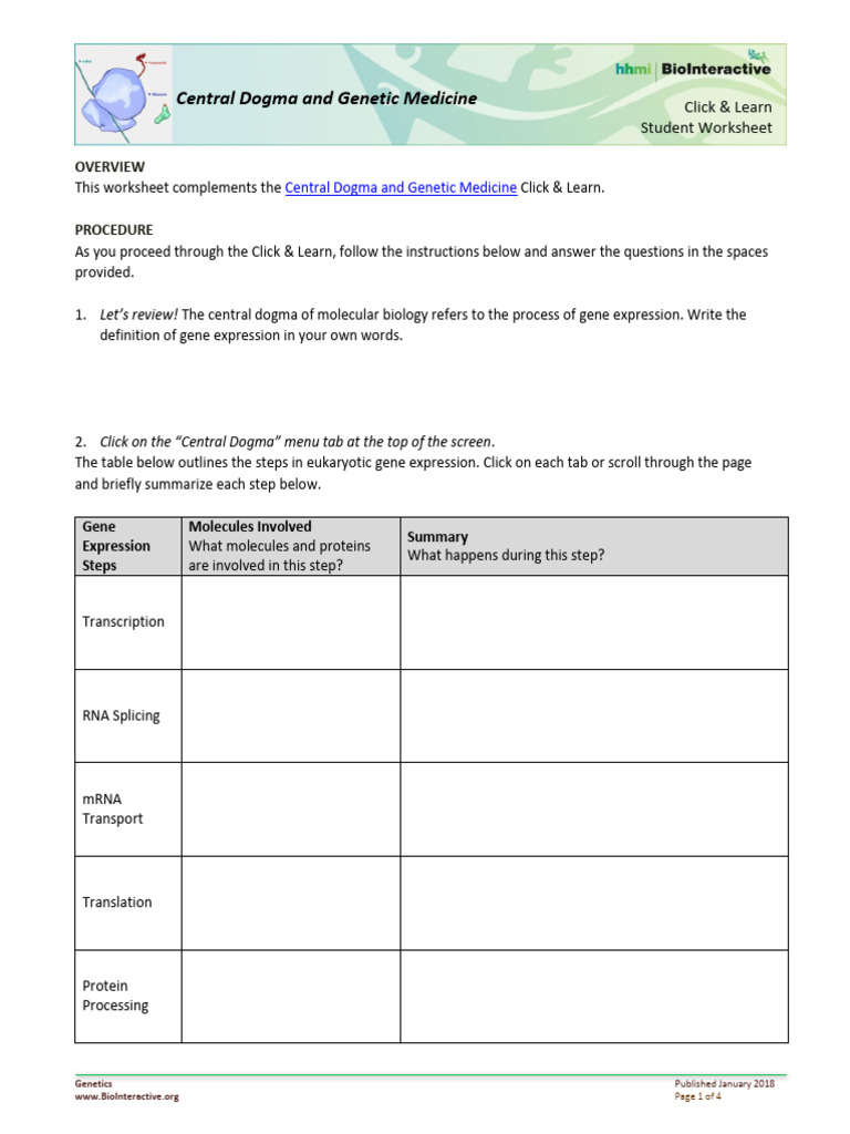 Central Dogma and Genetic Medicine Student Worksheet | PDF | Messenger ...