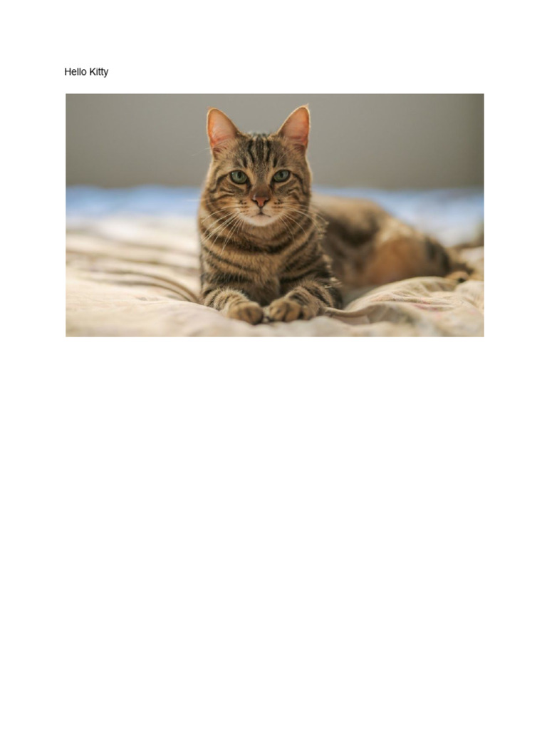 Hello Kitty | PDF