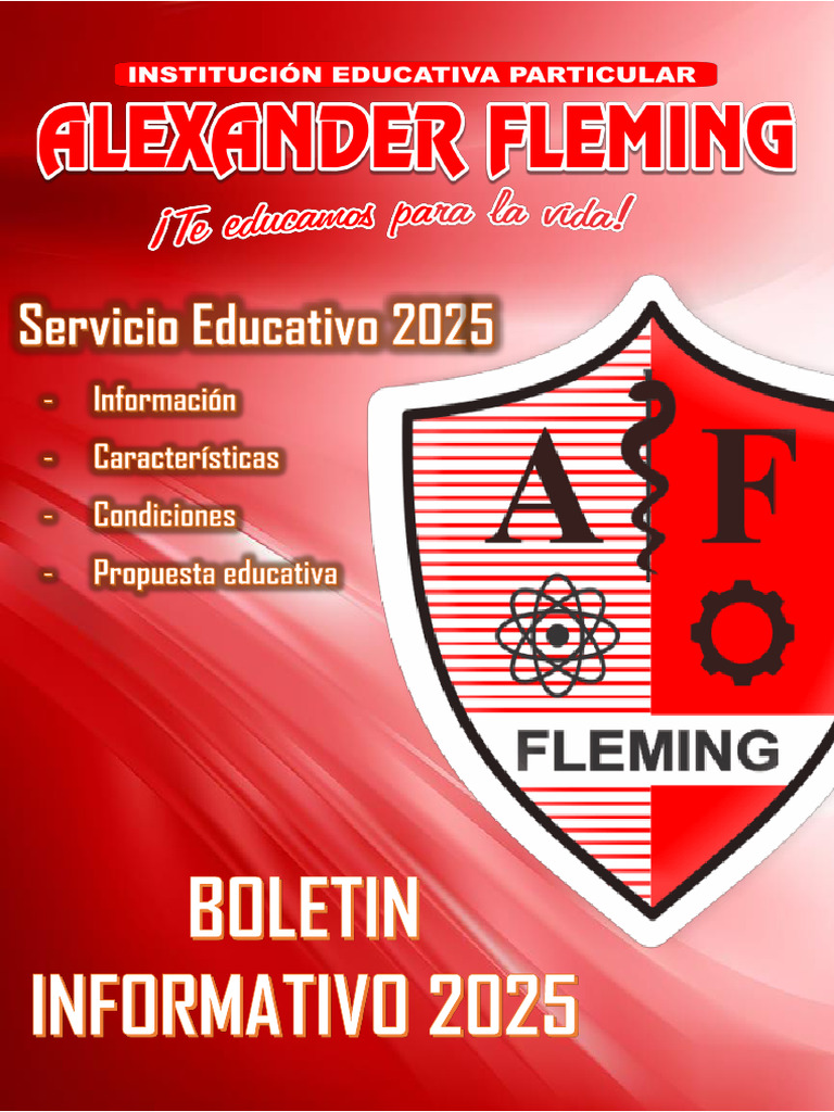 Boletin Informativo 2025 Alexander Fleming | PDF | Evaluación | Plan de estudios