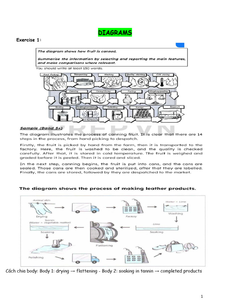 Leather Manufacturing Process Explained | PDF | Milk | Dairy