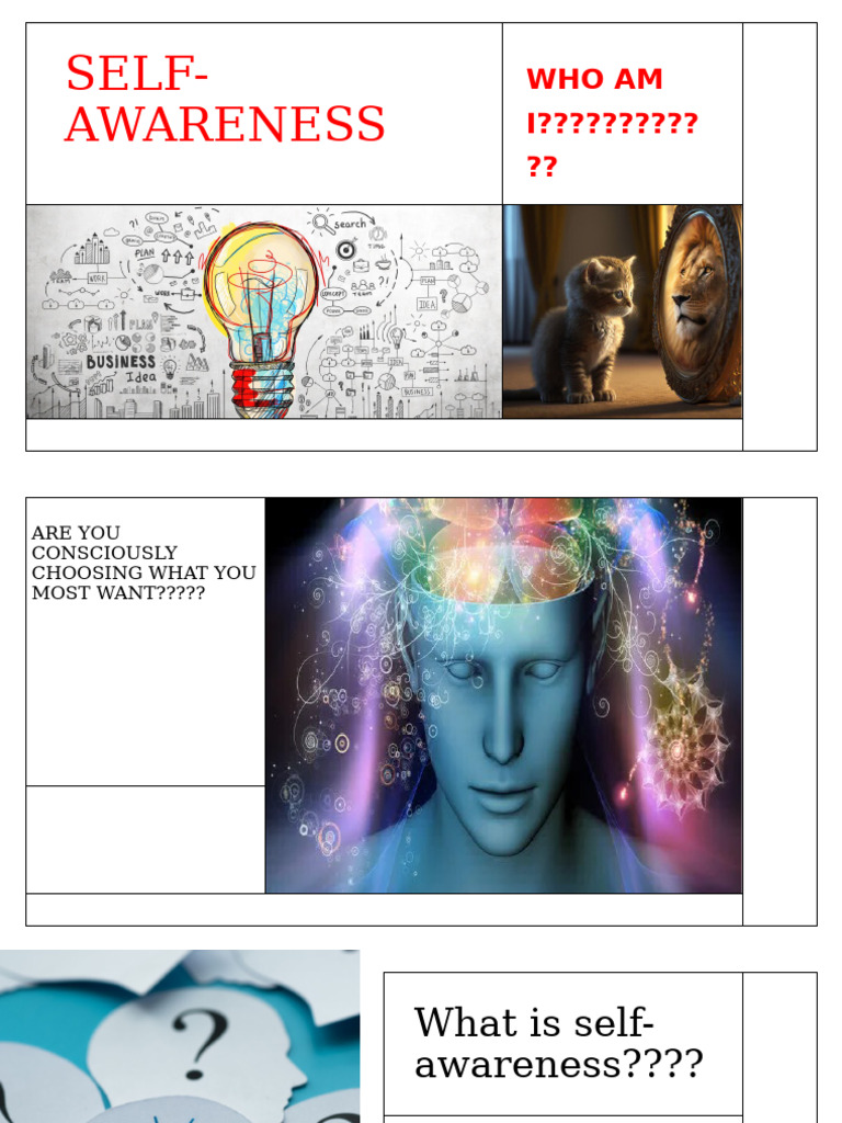 Self Awareness | PDF