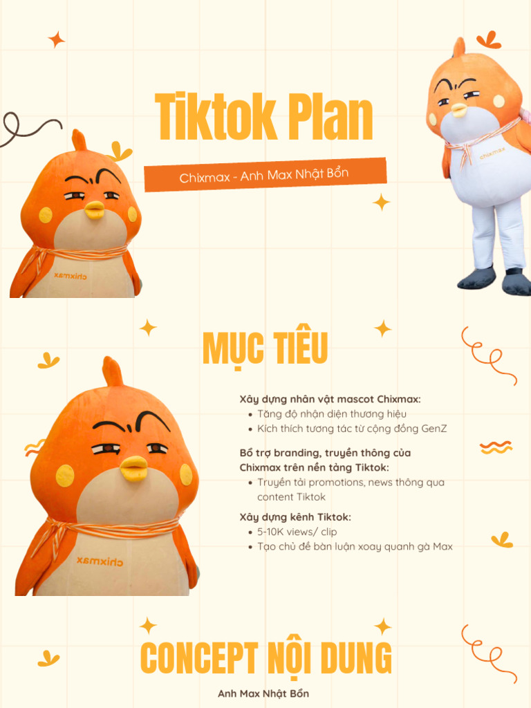 Tiktok Plan - Chixmax | PDF