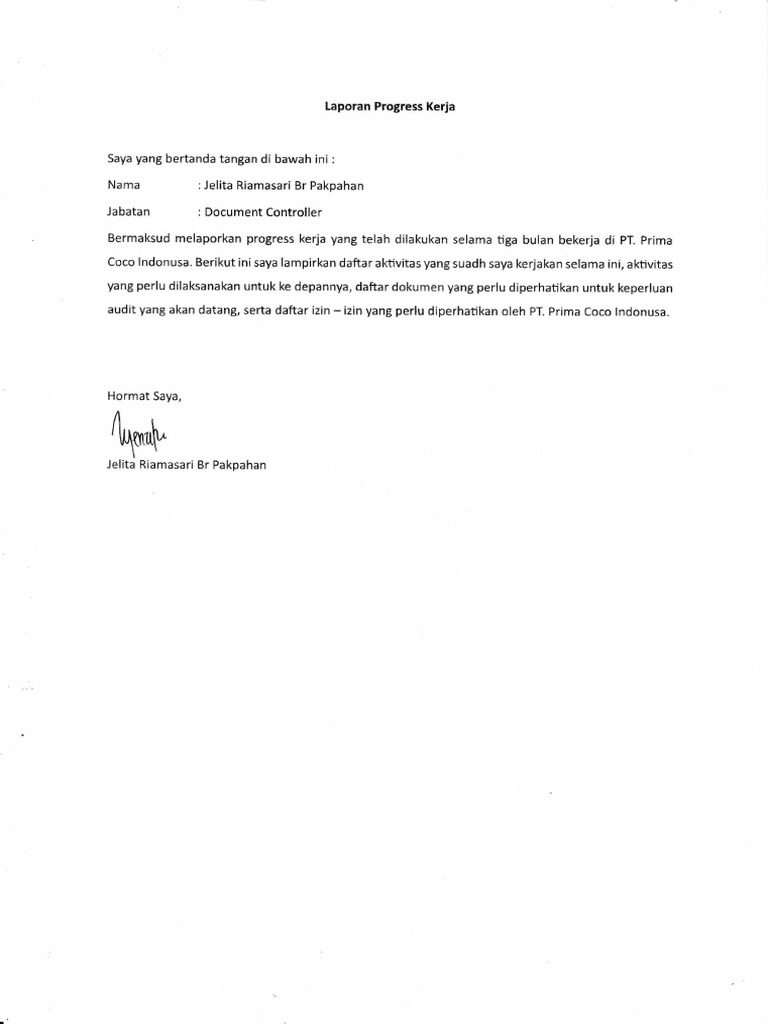Laporan Progres Kerja Document Control_ Jelita Mei 2025 | PDF