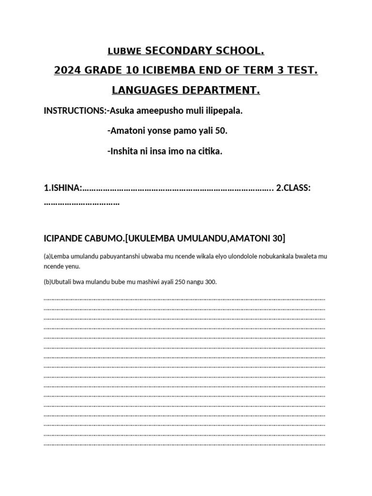 2024 Grade 10 Language Test Guide | PDF