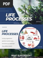 Life Processes Class 10th | PDF