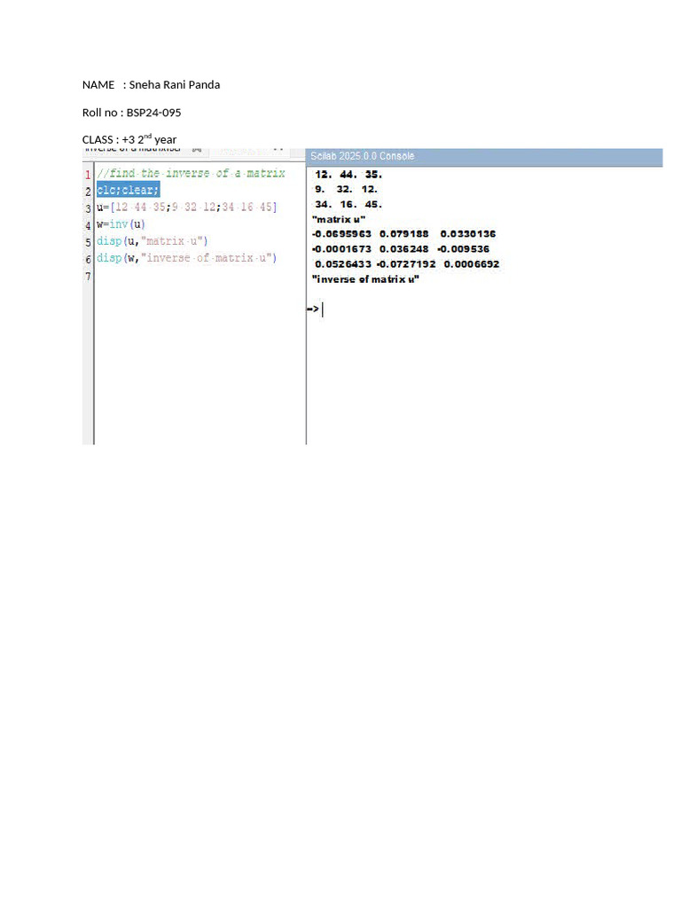 Inverse of Matrix | PDF