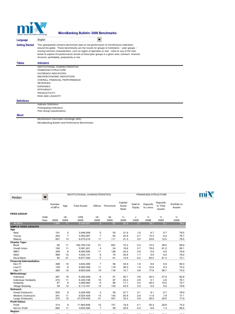 2008 MFI Benchmarks | PDF | Revenue | Gross Domestic Product