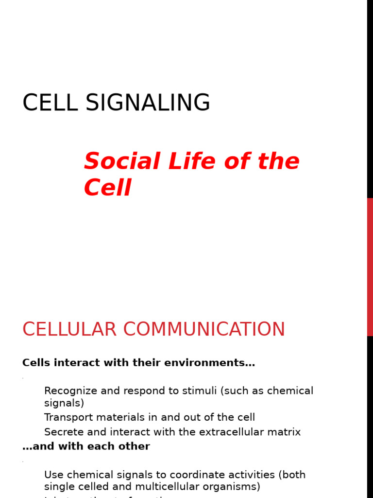 Cell Signaling I (Posted Slides) | PDF | Cell Signaling | Signal ...