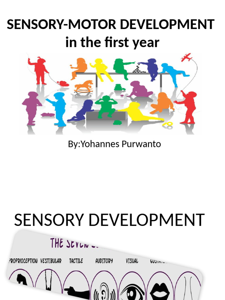 Sensory Motor Development | PDF | Somatosensory System | Anatomical Terms Of Motion