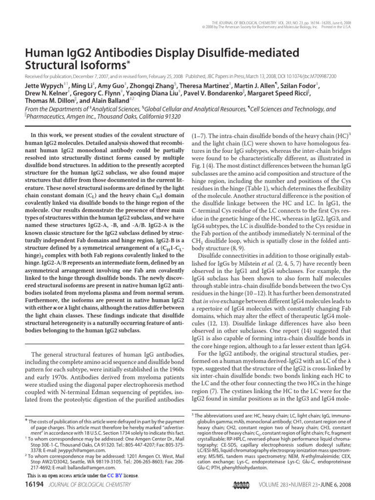 Human IgG2 Antibodies Display Disulfide-Mediated Structural Isoforms | PDF | Immunoglobulin G ...