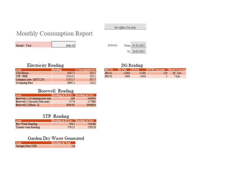 February 2025 Monthly Consumption Report | PDF