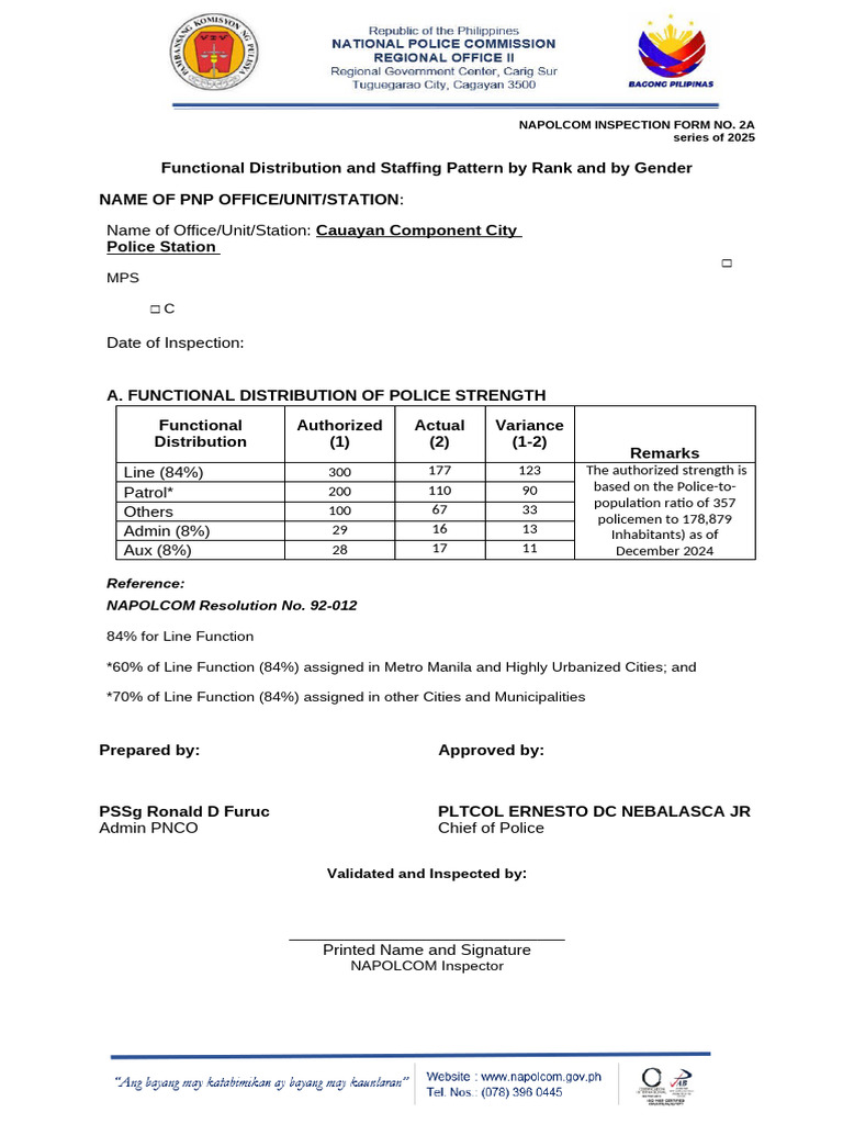 2025 NAPOLCOM Police Staffing Report | PDF