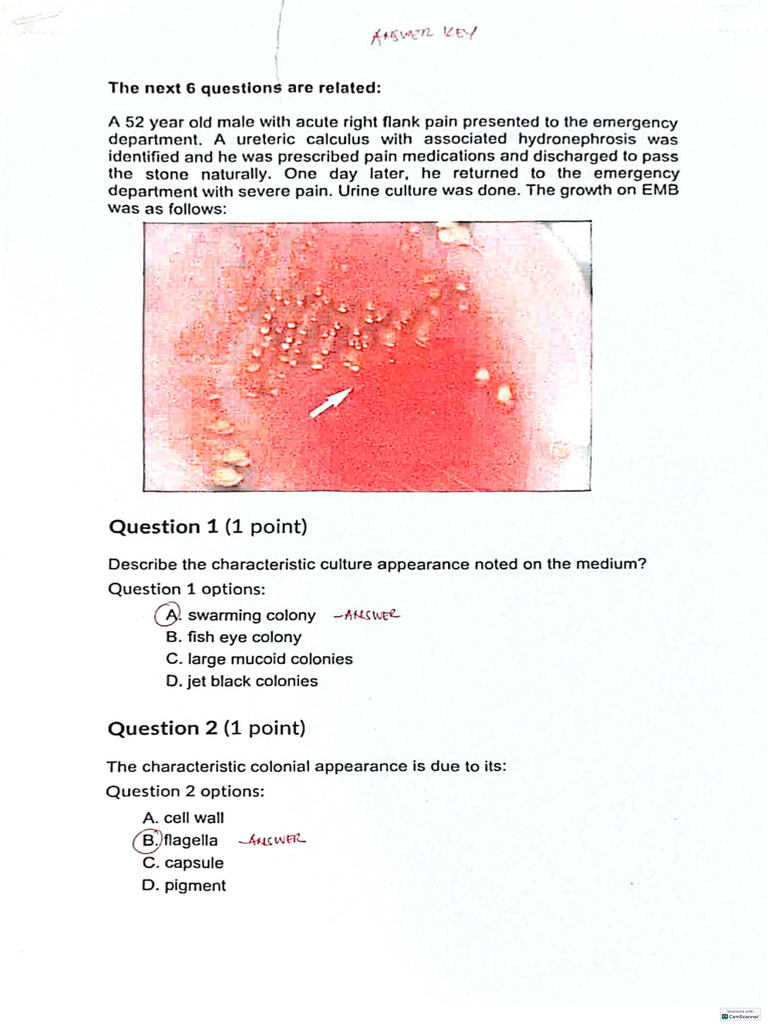 2024 B4 Practicals | PDF