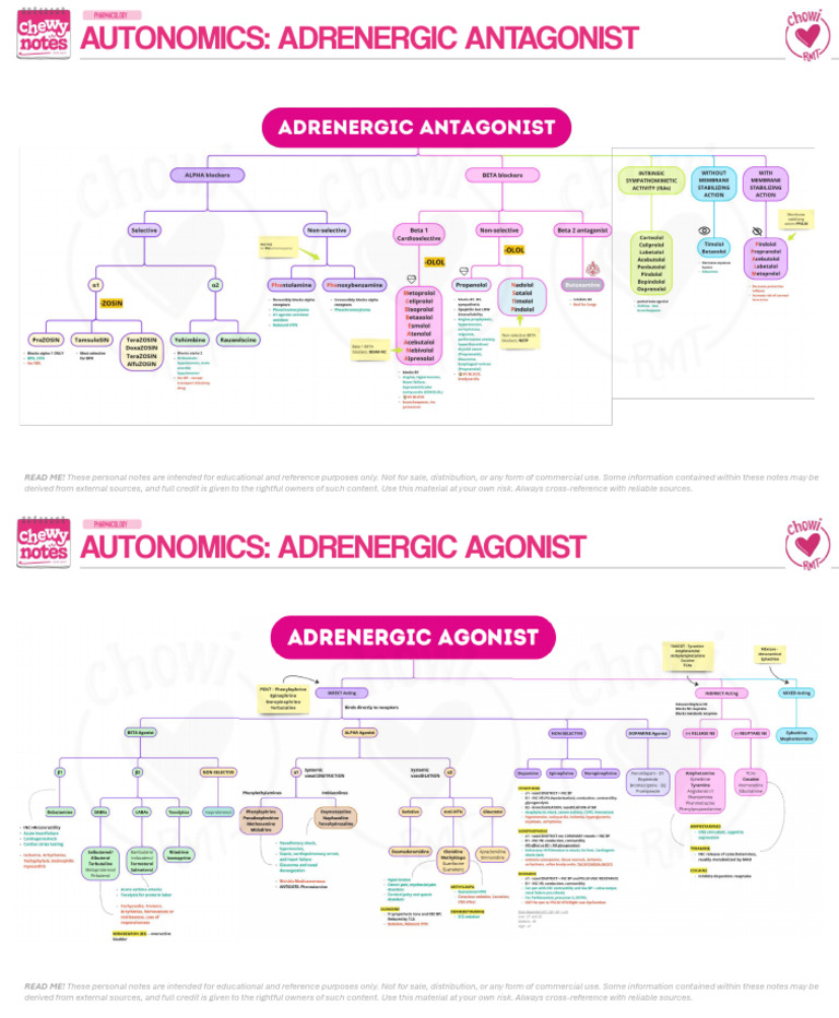 Pharmaps - Adrenergic Agonist and Antagonist | PDF