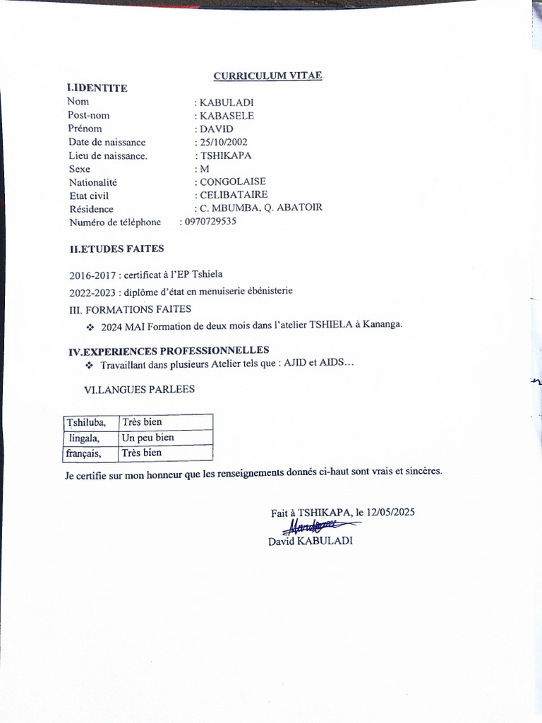 CV Ka | PDF