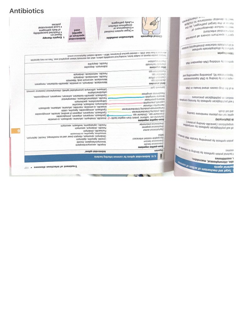 Antibiotics | PDF