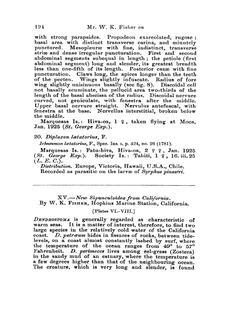 New Sipunculoidea Species from California | PDF | Esophagus ...
