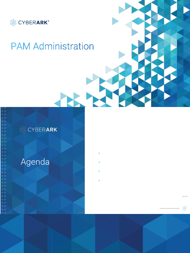 20 PAM ADMIN Common Issues | PDF | Remote Desktop Services | Software