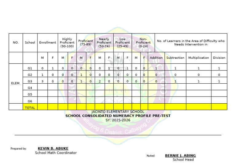 Jacinto Elementary School Numeracy Profile | PDF