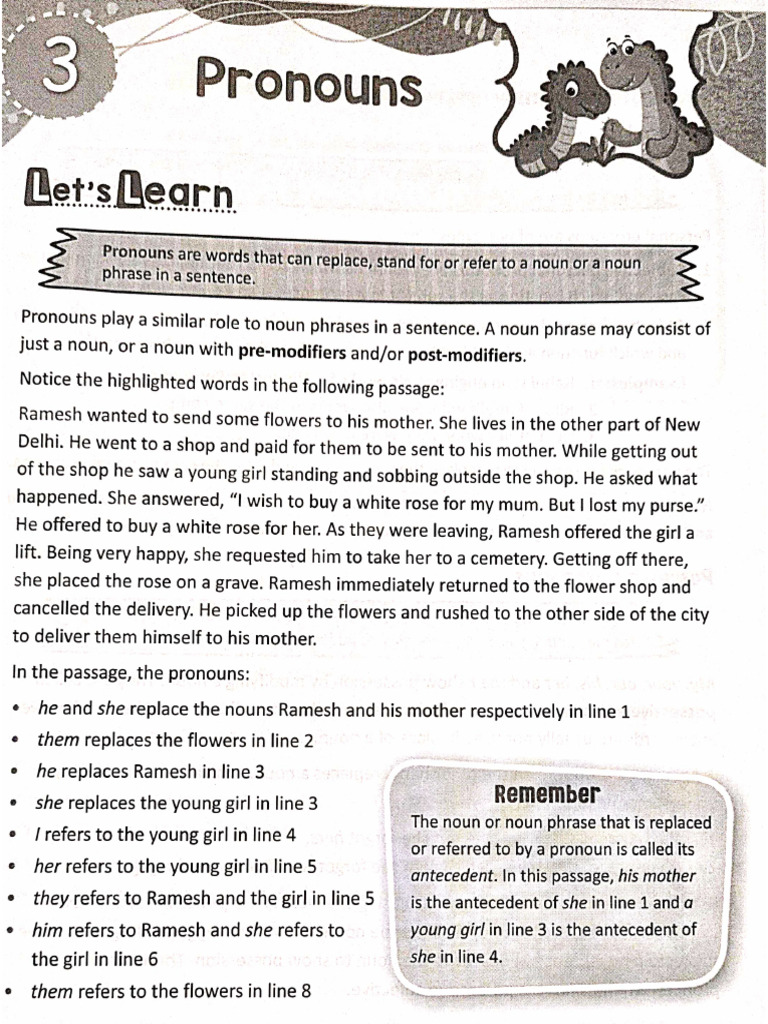 Grammar Pronoun 8 | PDF