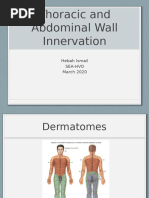 Acdf Physical Therapy Post Op Protocol | PDF | Anatomical Terms Of ...