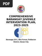 Final Plan Cbjip 2025-2029 | PDF | Juvenile Delinquency | Child Protection