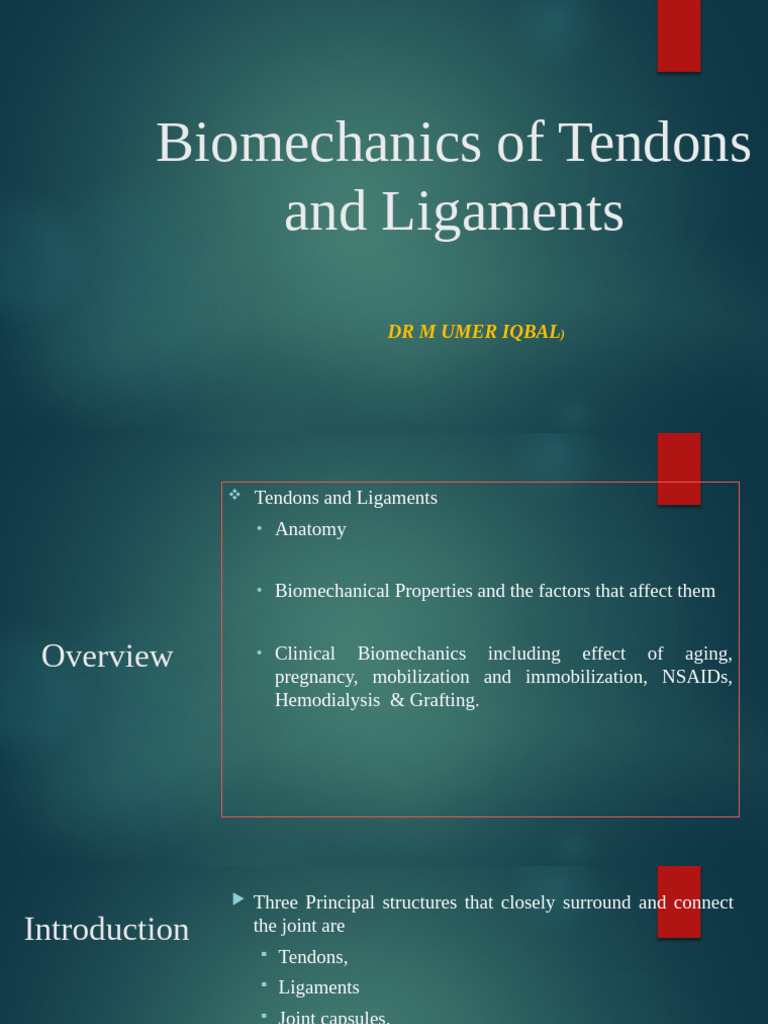 6 - Biomechanics of Tendon | PDF | Tendon | Extracellular Matrix