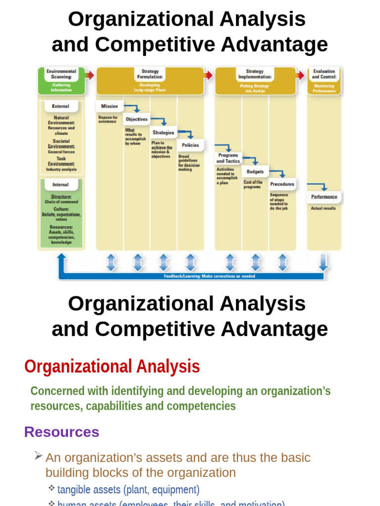 Organizational Analysis | PDF | Competitive Advantage | Marketing