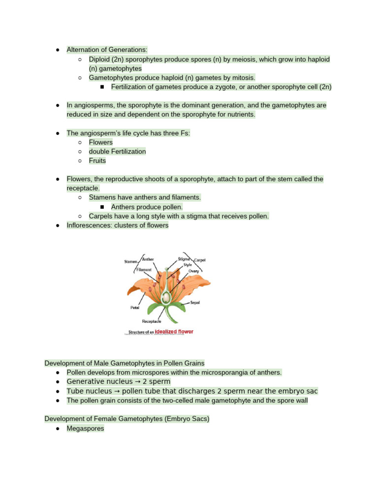 Ch. 38 Angiosperm Reproduction and Biotechnology | PDF | Fertilisation ...