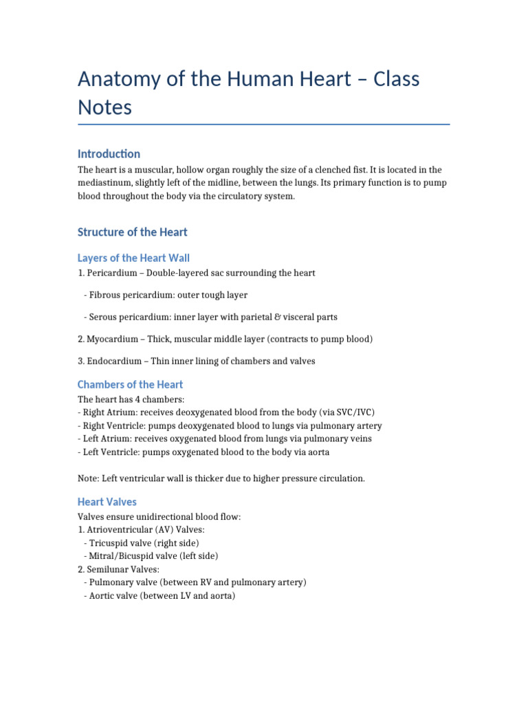 Anatomy of Heart Notes | PDF