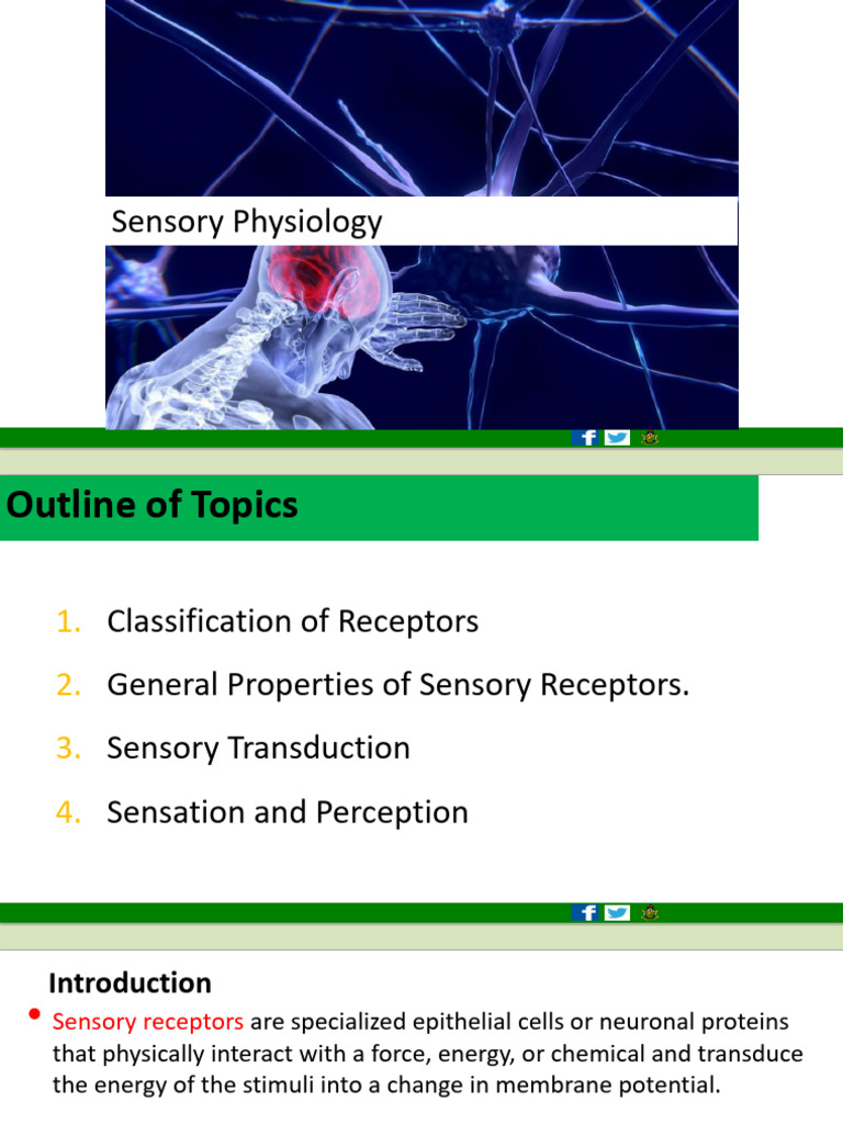 Understanding Sensory Receptors | PDF | Stimulus (Physiology) | Senses