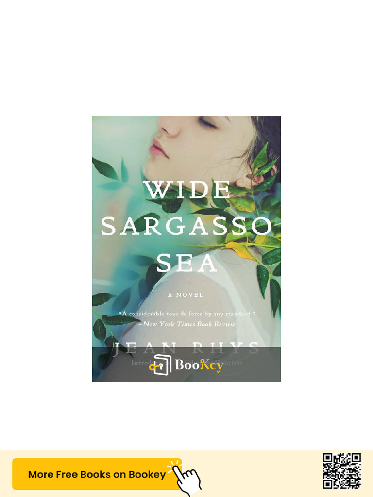 Wide Sargasso Sea: Themes & Analysis | PDF | Jane Eyre