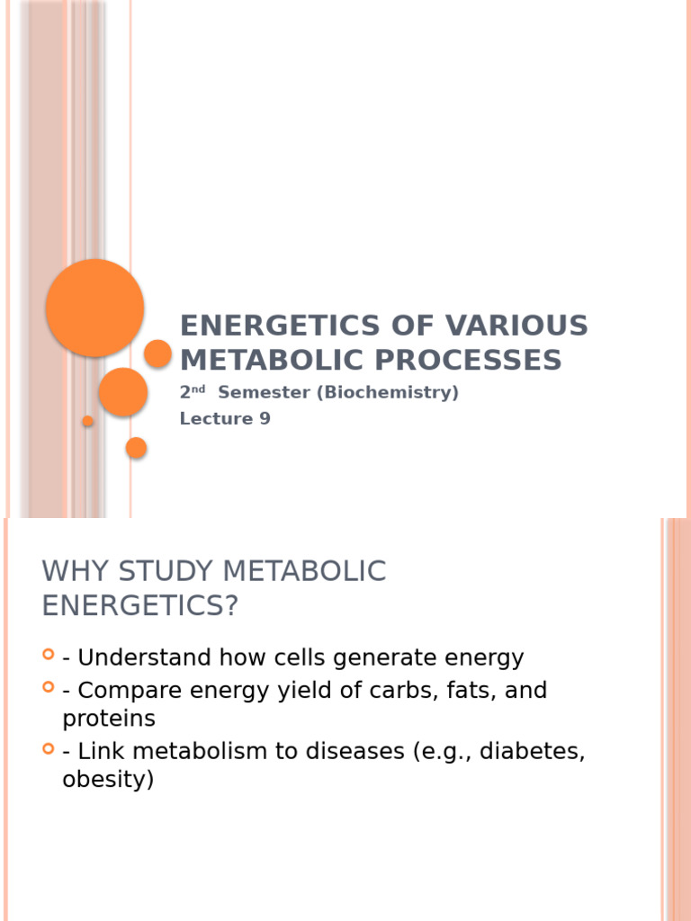 Energetics of Metabolic Processes | PDF