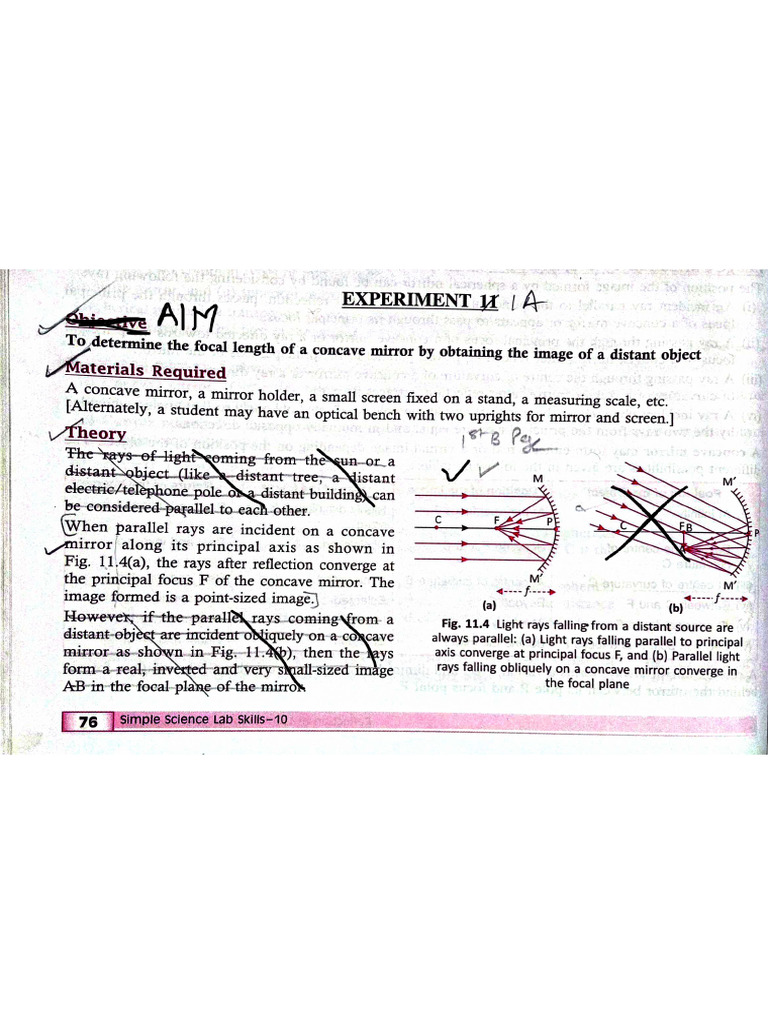 Experiments 1A and 1B | PDF