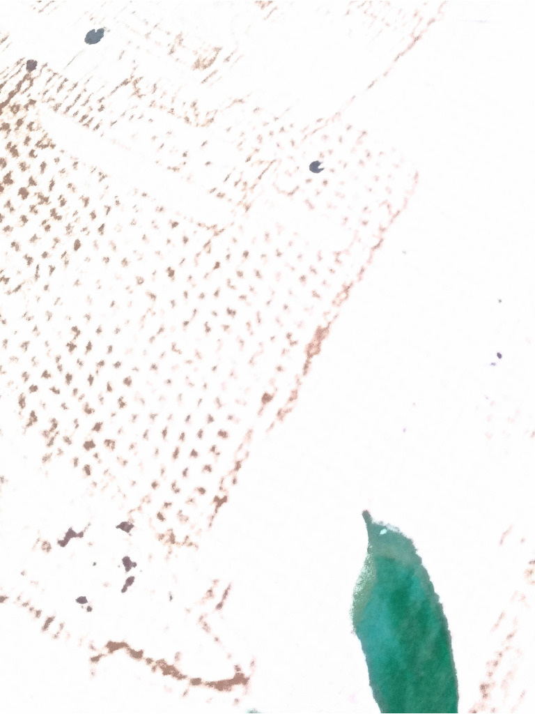 Scanned 20250702-1700 | PDF