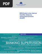 Ilaap Guidelines1 | PDF | Stress Test (Financial) | Liquidity Risk