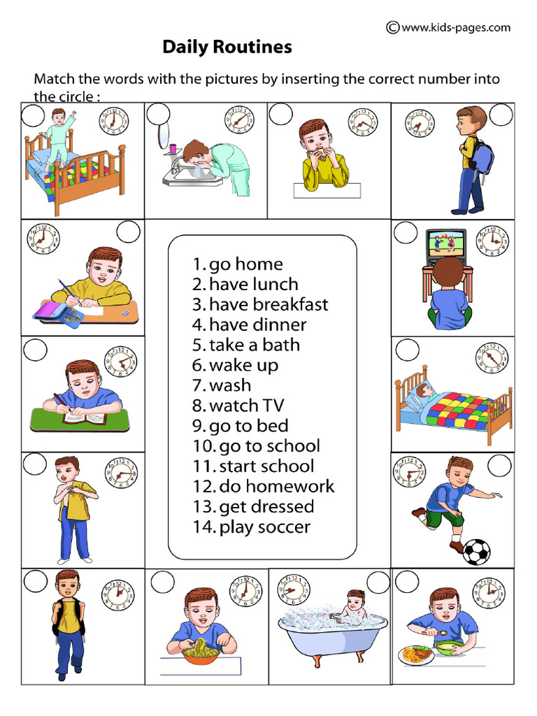 DailyRoutines ACTIVITY | PDF