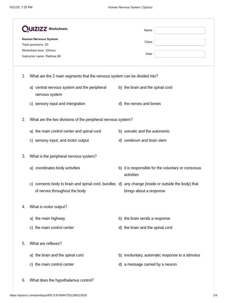 Nervous System Quizizz Worksheet | PDF | Nervous System | Central ...