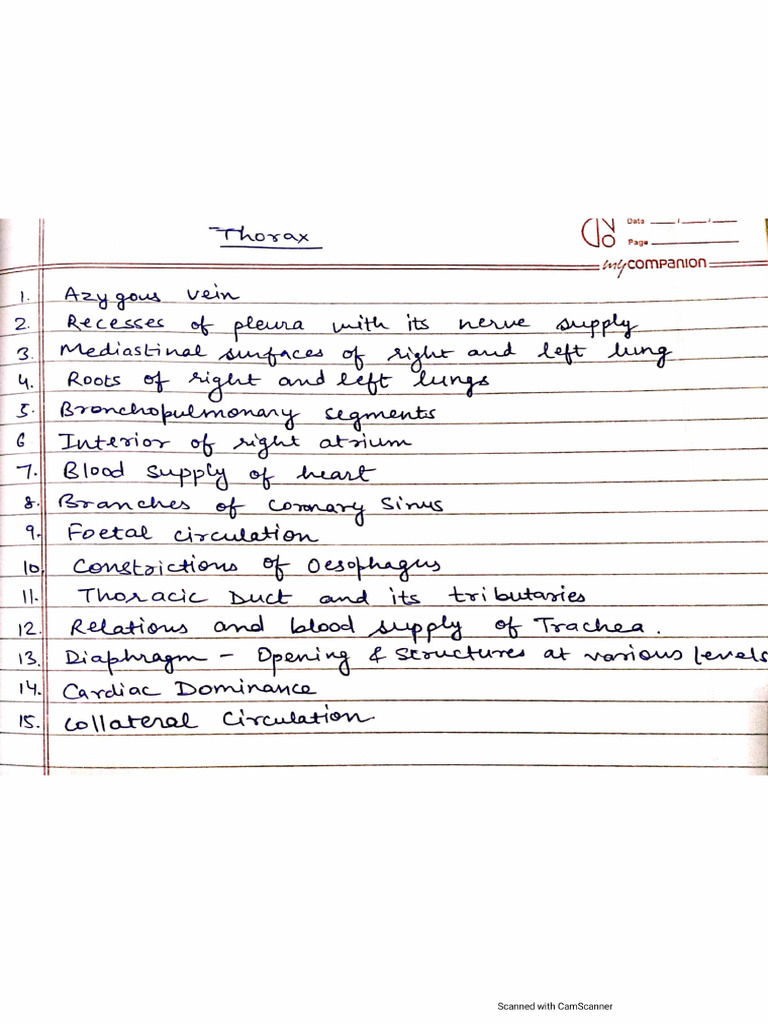 Anatomy 1 | PDF