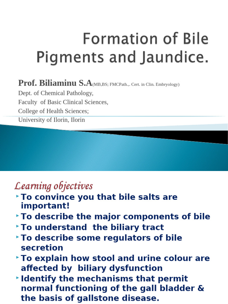 Formation of Bile Pigments and Jaundice | PDF | Bile | Cirrhosis