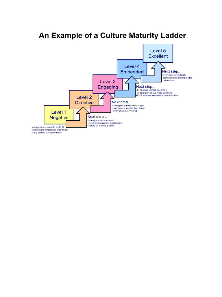 Culture Maturity Ladder | PDF