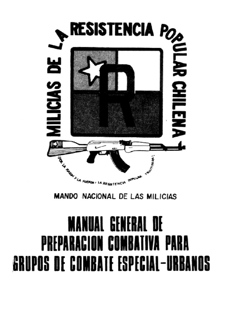 Manual Digitalizado - Cleaned | PDF