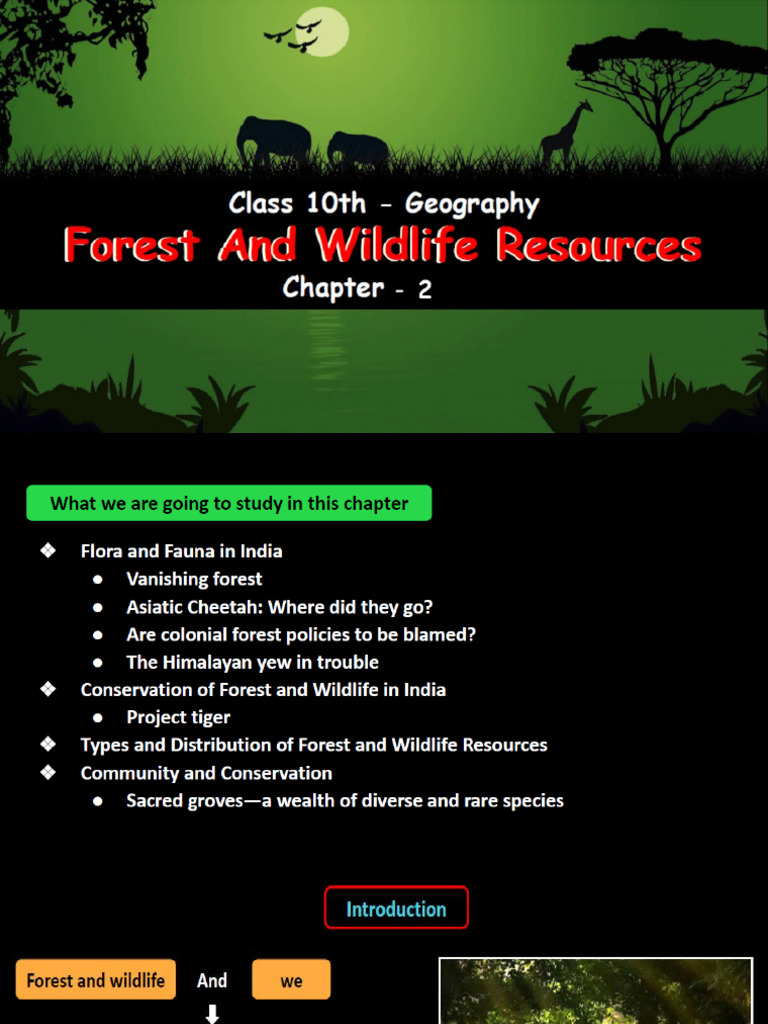 Forest and Wildlife Resources Overview | PDF