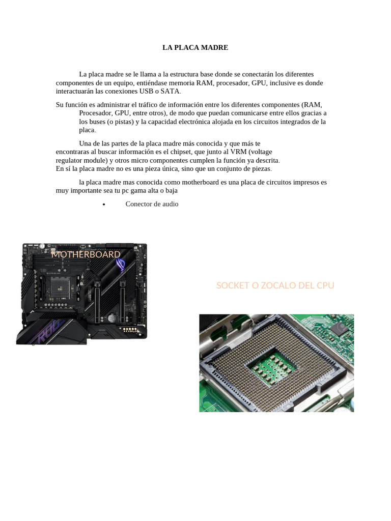La Placa Madre | PDF