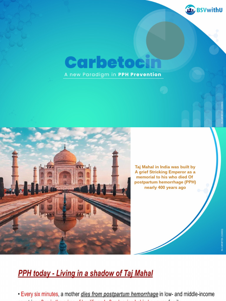 Presentation Hema Mam | PDF | Childbirth | Maternal Death