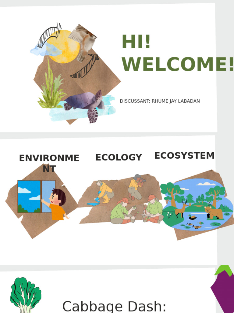 Environment, Ecosystem, Ecology | PDF