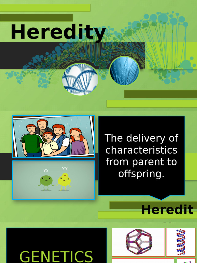 Lesson 1 - Laws of Inheritance - Mendelian Genetics | PDF | Heredity ...