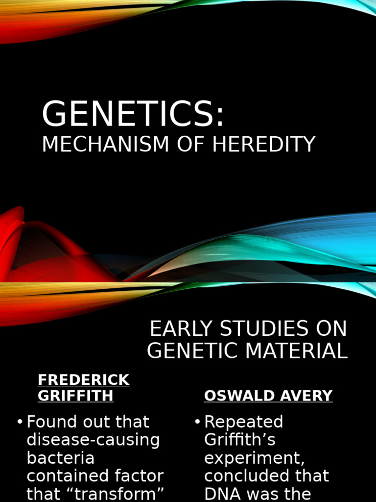 Genetics: Heredity Mechanisms Explained | PDF | Genotype | Mutation