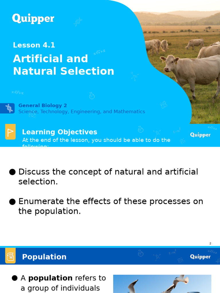 Natural vs. Artificial Selection Explained | PDF | Genetics | Allele